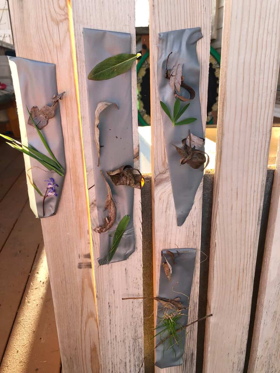 10 Easy Outdoor Crafts to Keep Your Toddler Busy! – The Crazy Outdoor Mama