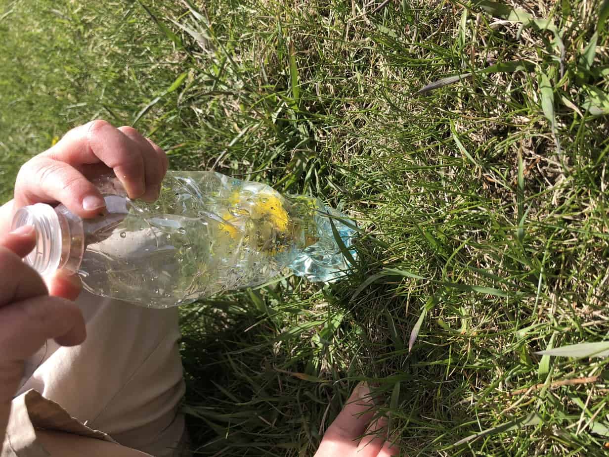 15 Fun Dandelion Crafts for Kids (+Free Printable Activity Pack) – The ...