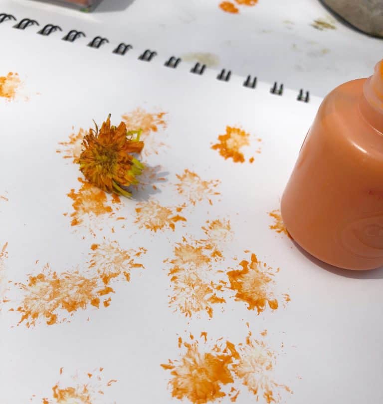 9 Best Dandelion Activities for Preschoolers and a FREE Printable ...