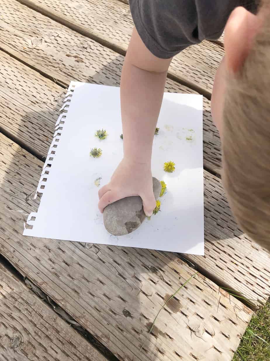 9 Best Dandelion Activities for Preschoolers and a FREE Printable ...