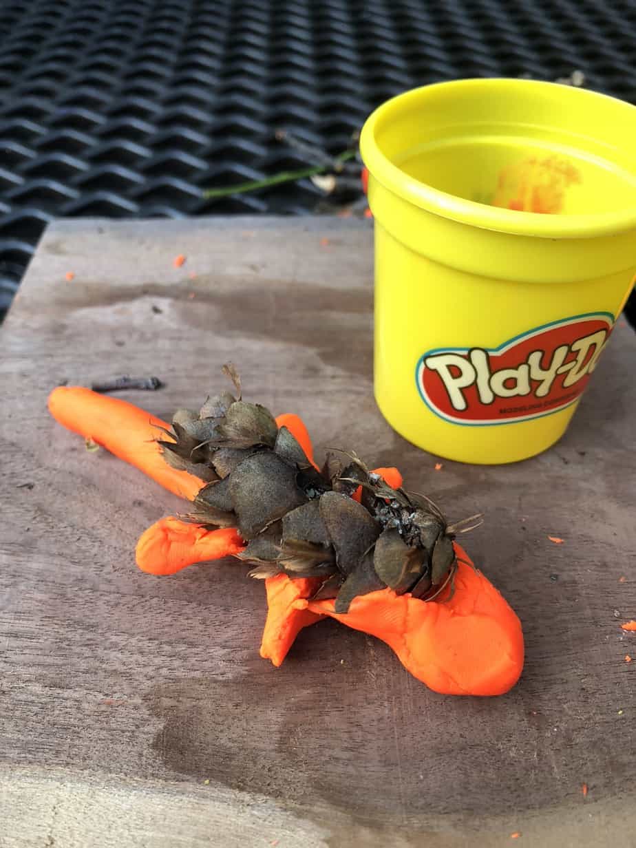 Fun Play Doh Crafts with Items from Nature! – The Crazy Outdoor Mama