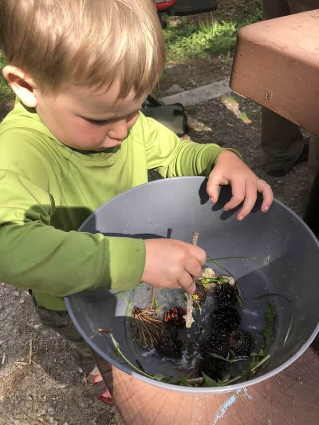 Stories – The Crazy Outdoor Mama