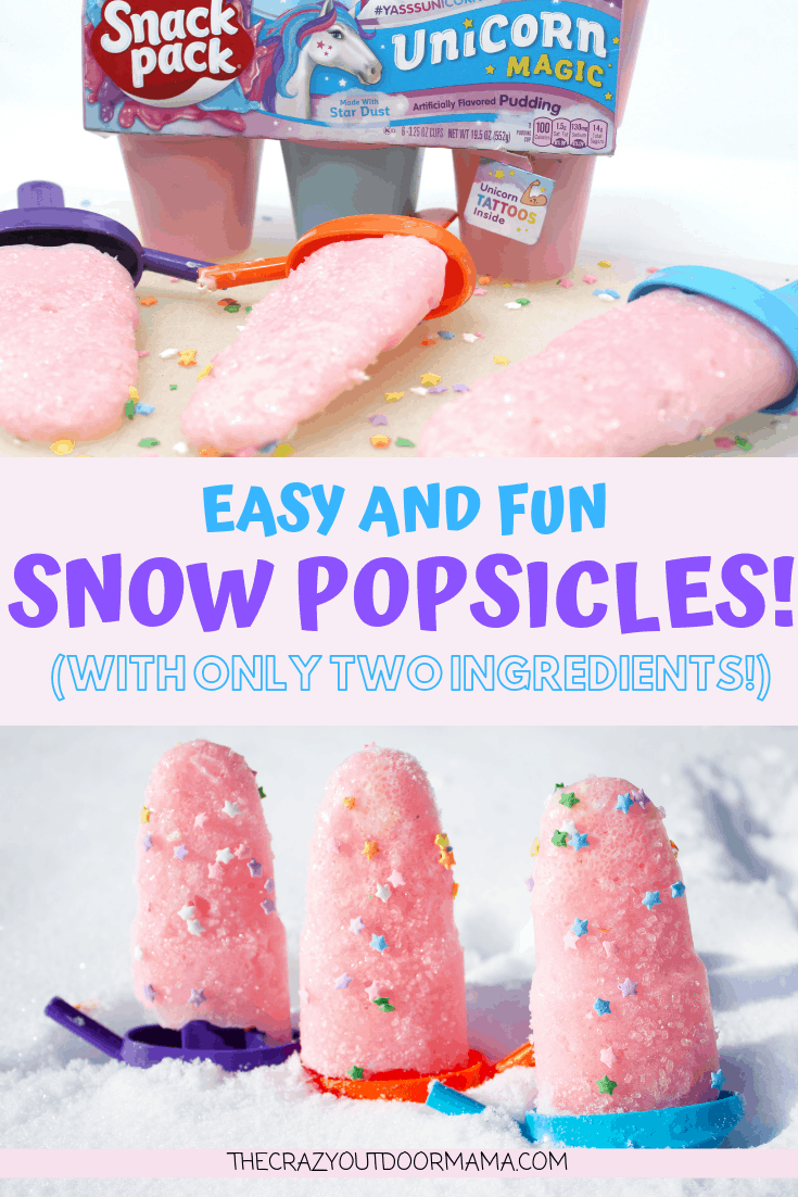 Easy Snow Popsicles Dessert that Everyone Will LOVE! – The Crazy ...