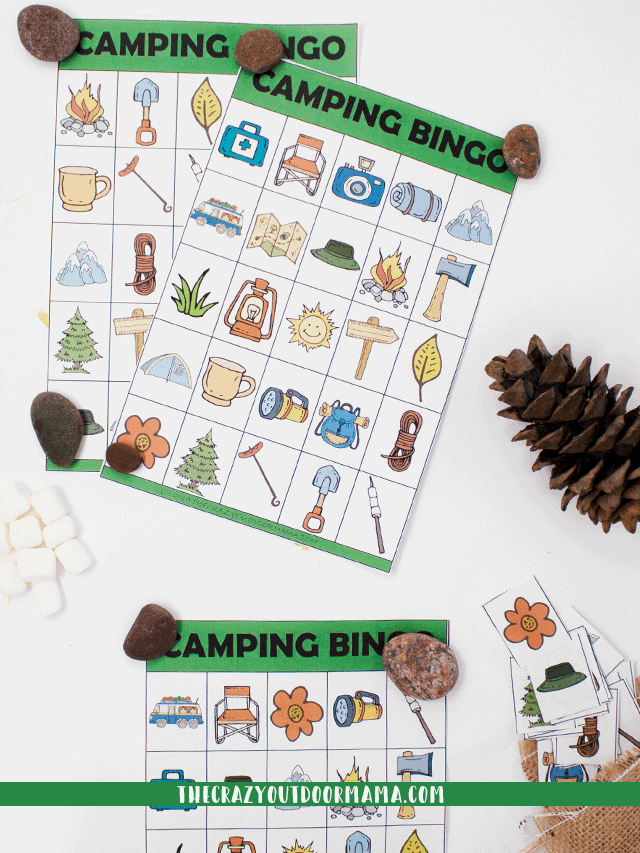 A Fun Camping Party or Outdoor Activity for the Whole Family! Story ...