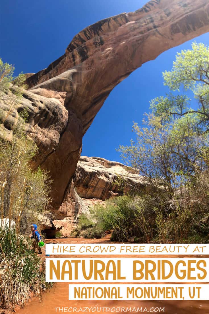 Natural Bridges National Monument Hiking Guide for Families 2019! – The ...