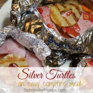 25 Easy Foil Packet Campfire Meals and Make Aheads! – The Crazy Outdoor ...