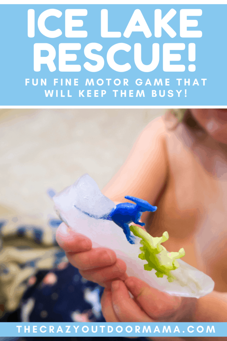 Ice Rescue Fine Motor Activity for Kids (with real ice!) – The Crazy ...