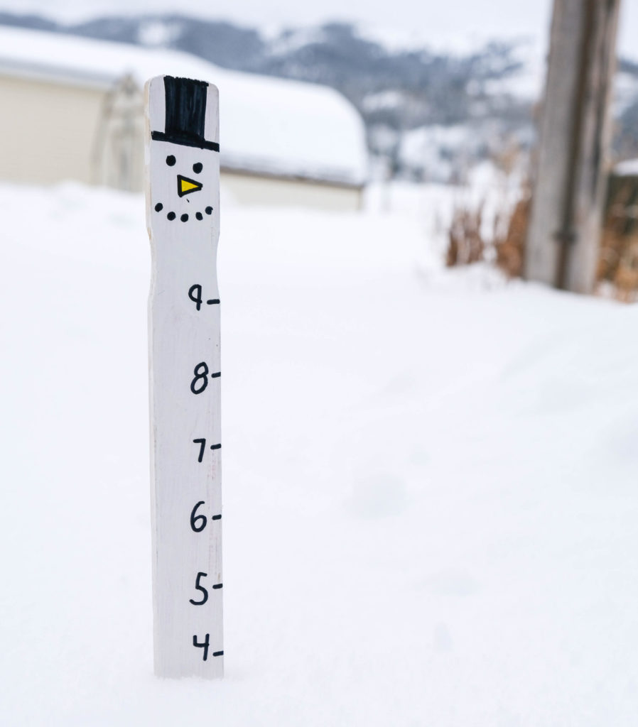 Snow Measuring Craft + Activity for Kids [Free Printable Snow Tracking ...