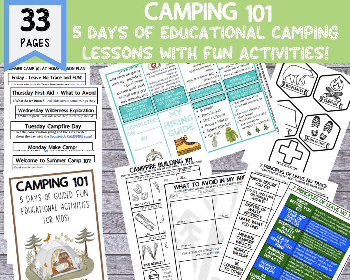 DIY Summer Camp 101 At Home with Printable Lesson Plans The Crazy