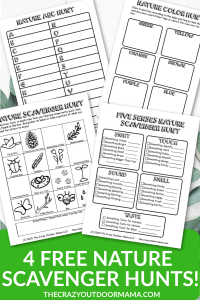 4 FREE Nature Scavenger Hunts [Color, Senses, ABC, Traditional] – The ...