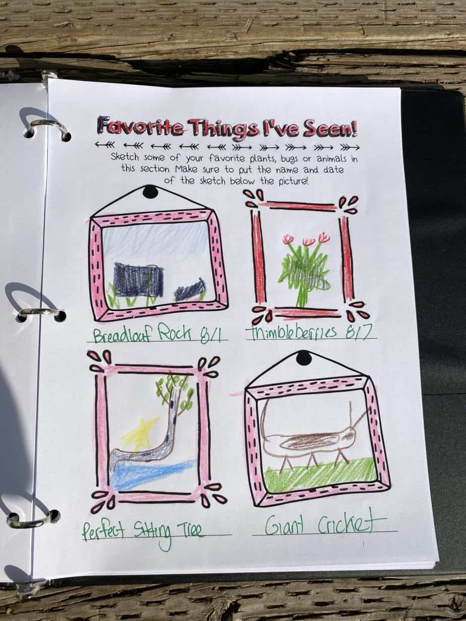 Fun + Engaging Printable Hiking Journal for Kids [FREE printable hike ...