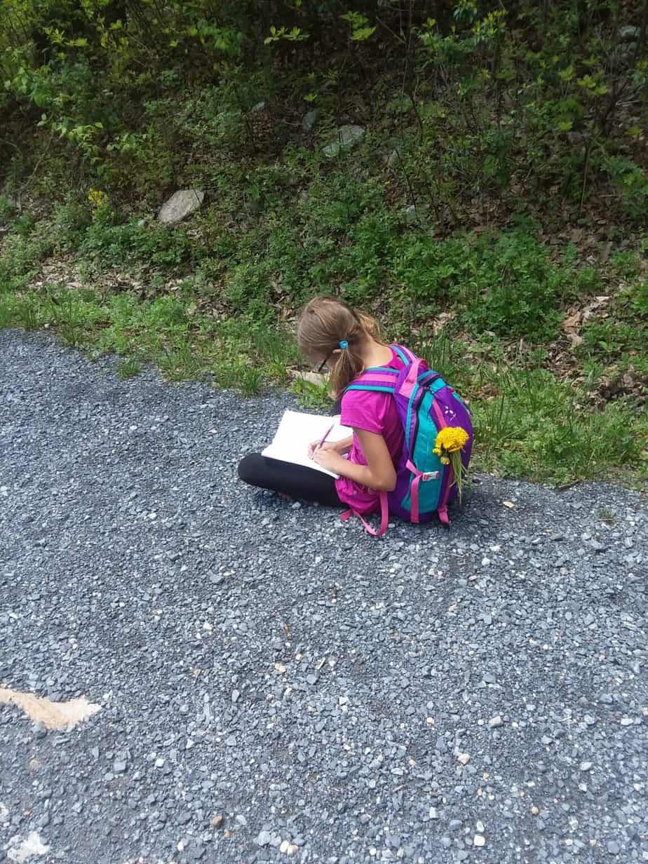 Ultimate Guide to Roadschooling for Full-time RVing Families – The ...