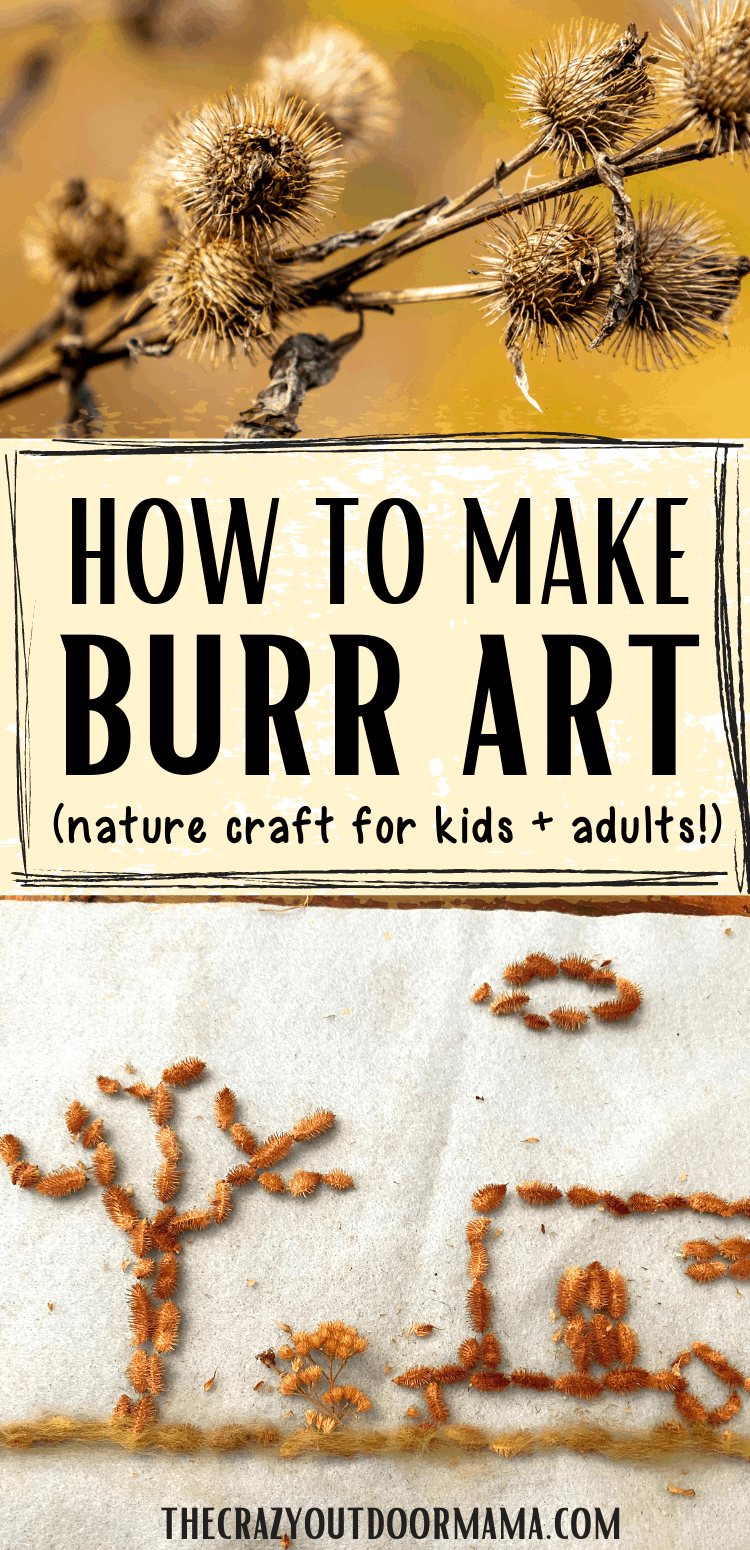 Cheap + Fun Burr craft for kids and adults – The Crazy Outdoor Mama