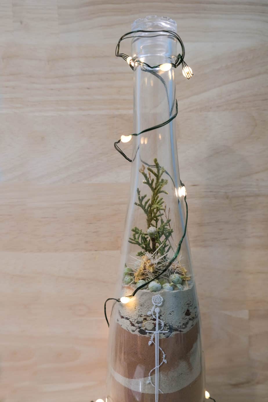 DIY Desert in a Bottle Project (Desert Themed Sand Craft for Adults AND ...