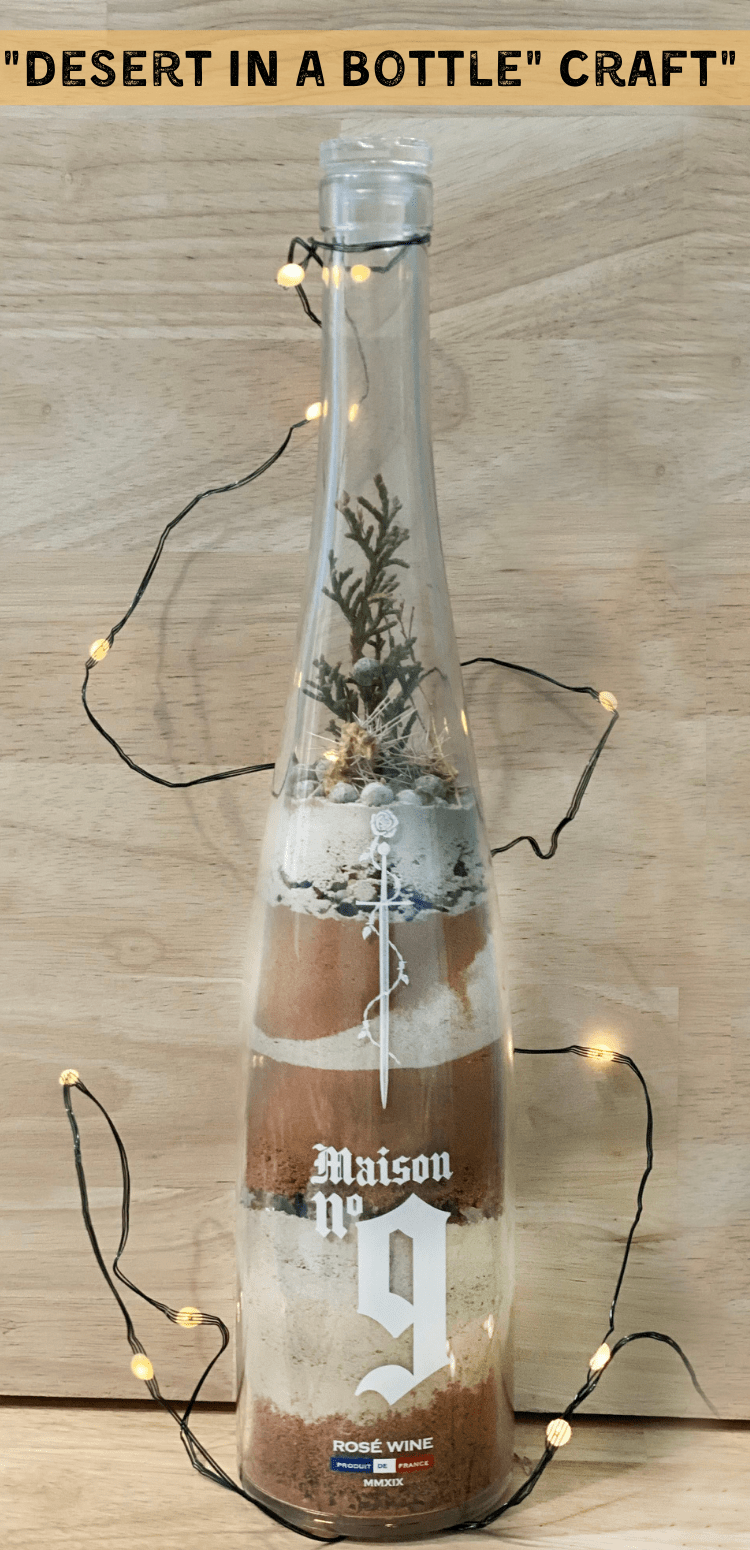 DIY Desert in a Bottle Project (Desert Themed Sand Craft for Adults AND ...