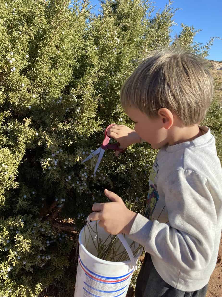 DIY Desert in a Bottle Project (Desert Themed Sand Craft for Adults AND ...