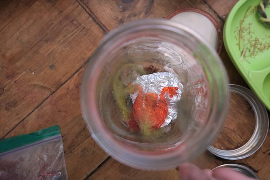 "Pond in a Jar" Pond/Lake Craft + Printable Frog Life Cycle Activity ...