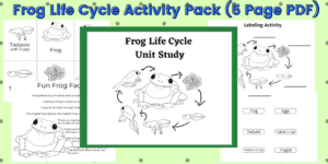 "Pond in a Jar" Pond/Lake Craft + Printable Frog Life Cycle Activity ...