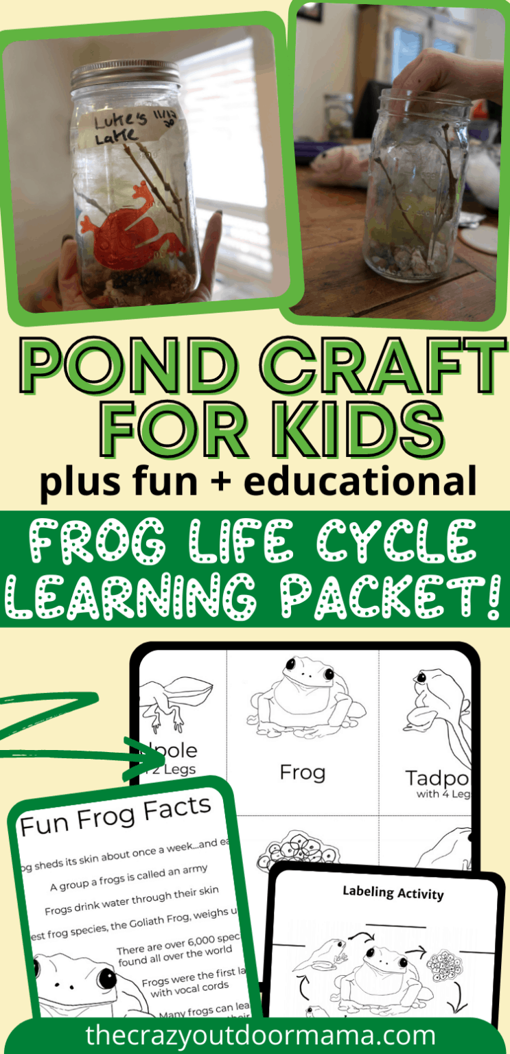 "Pond in a Jar" Pond/Lake Craft + Printable Frog Life Cycle Activity ...