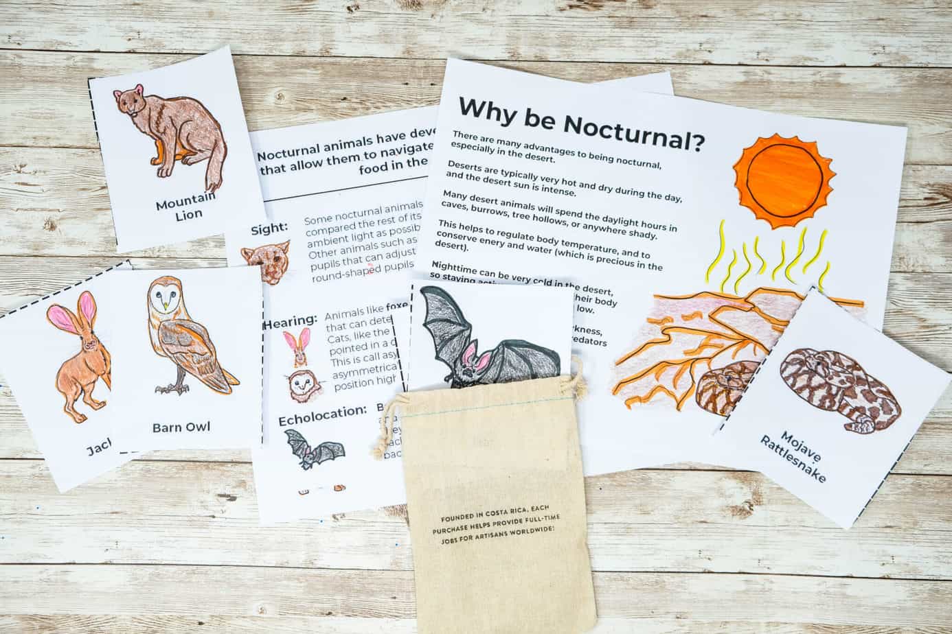 FUN Kids Nocturnal Desert Animals Unit Study [Printable PDF] – The ...