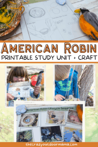 FUN + Cute American Robin Study Unit for Kids [PDF Life Cycle ...