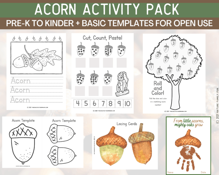 15 Adorable Acorn Crafts for Kids + FREE 8 Page Printable PDF Activity ...