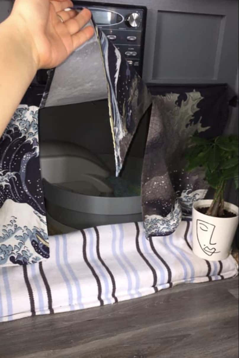 Camping With Cats 101 - Pictures + Tips for a PURRfect Camp Trip! – The ...