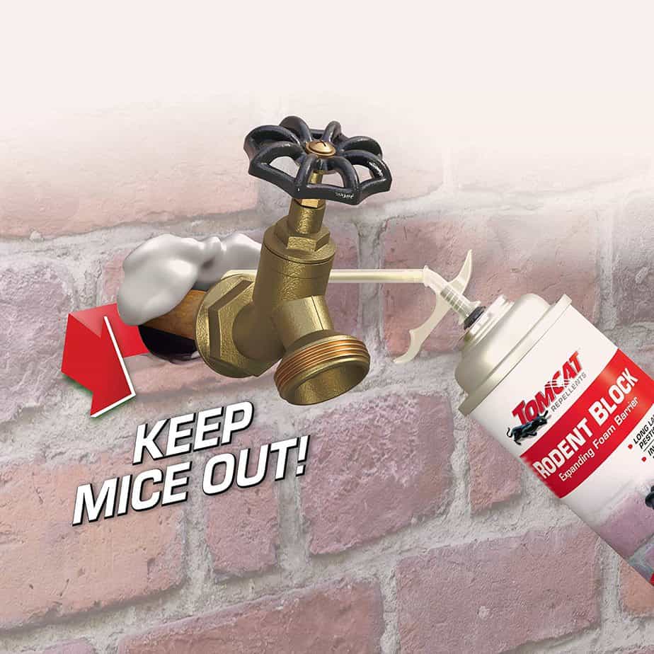 15 Tricks to Actually Keep Mice Out of Your RV (No Irish Spring Soap ...