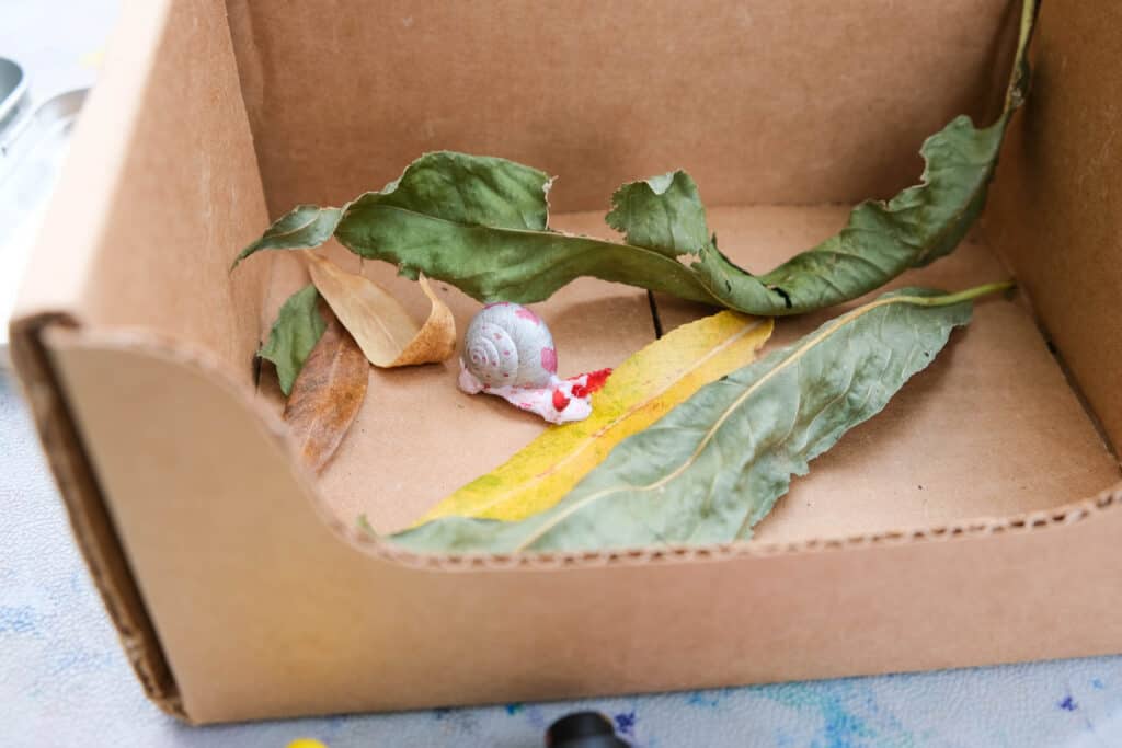 Cute Snail Shell Craft + Mountain Snail Study Unit for Kids! – The ...