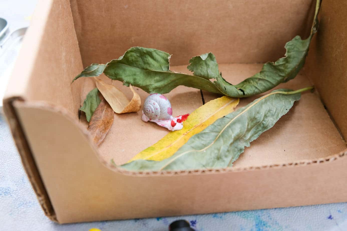 Cute Snail Shell Craft + Mountain Snail Study Unit for Kids! – The ...