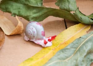Cute Snail Shell Craft + Mountain Snail Study Unit for Kids! – The ...