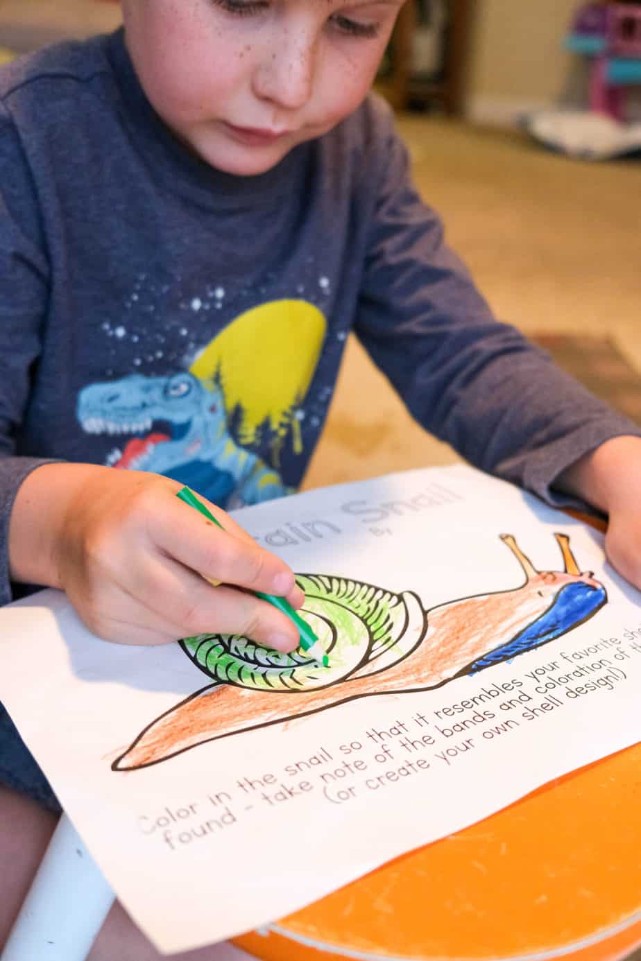 Cute Snail Shell Craft + Mountain Snail Study Unit for Kids! – The ...