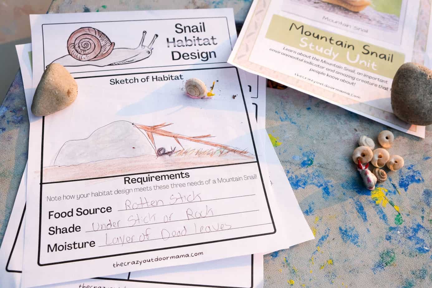 Cute Snail Shell Craft + Mountain Snail Study Unit for Kids! – The ...