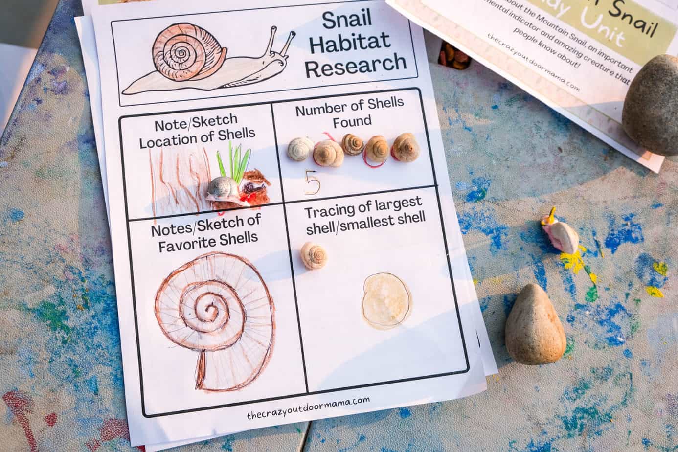 Cute Snail Shell Craft + Mountain Snail Study Unit for Kids! – The ...