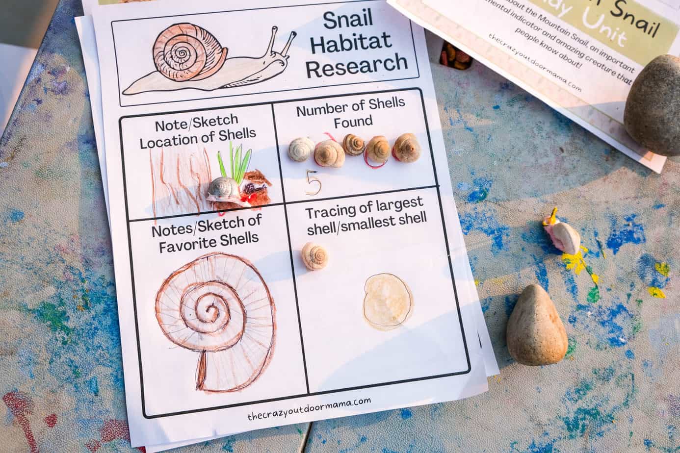 Cute Snail Shell Craft + Mountain Snail Study Unit for Kids! – The ...