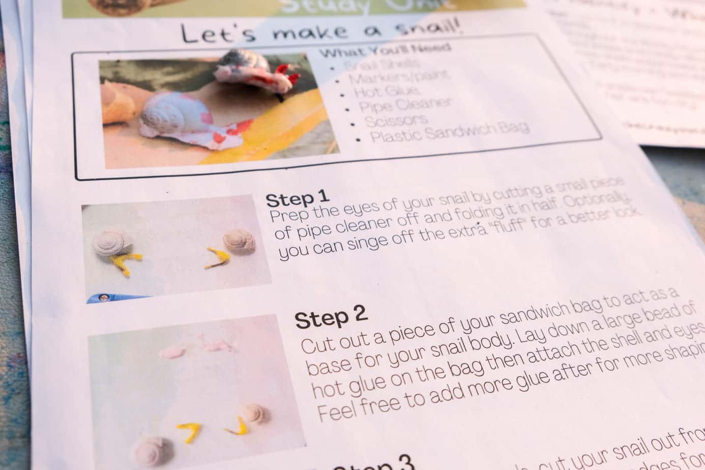 Cute Snail Shell Craft + Mountain Snail Study Unit for Kids! – The ...