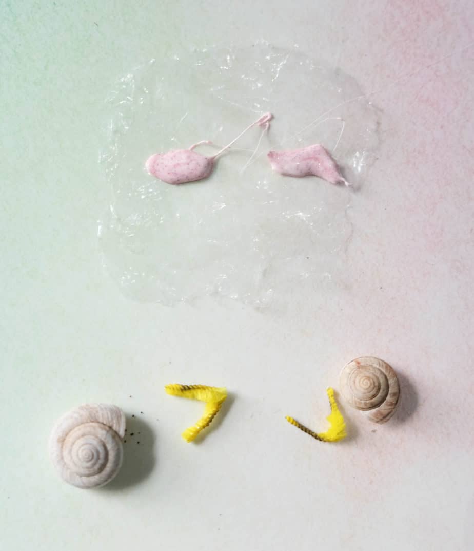 Cute Snail Shell Craft + Mountain Snail Study Unit for Kids! – The ...