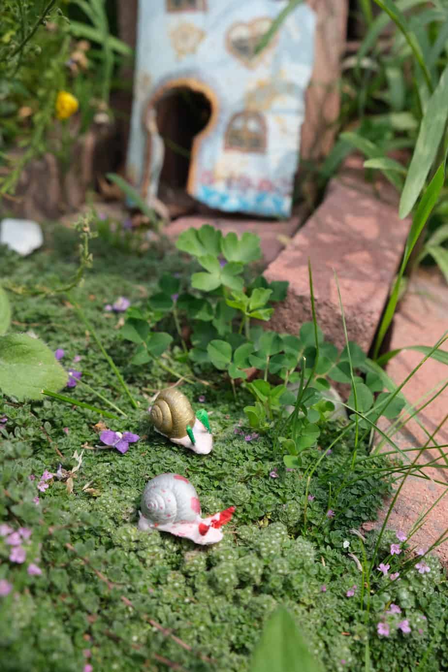 Cute Snail Shell Craft + Mountain Snail Study Unit for Kids! – The ...