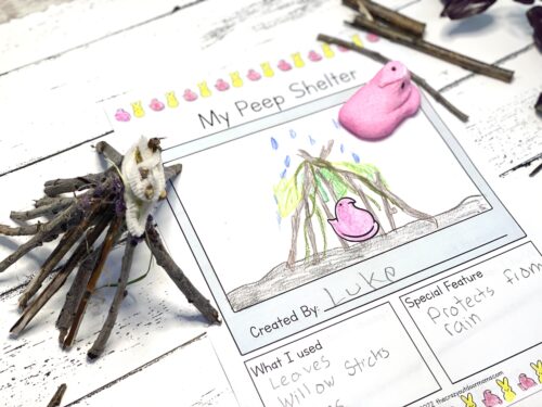 11 Ideas to Have an AWESOME Easter Camping Outdoors With Kids – The ...