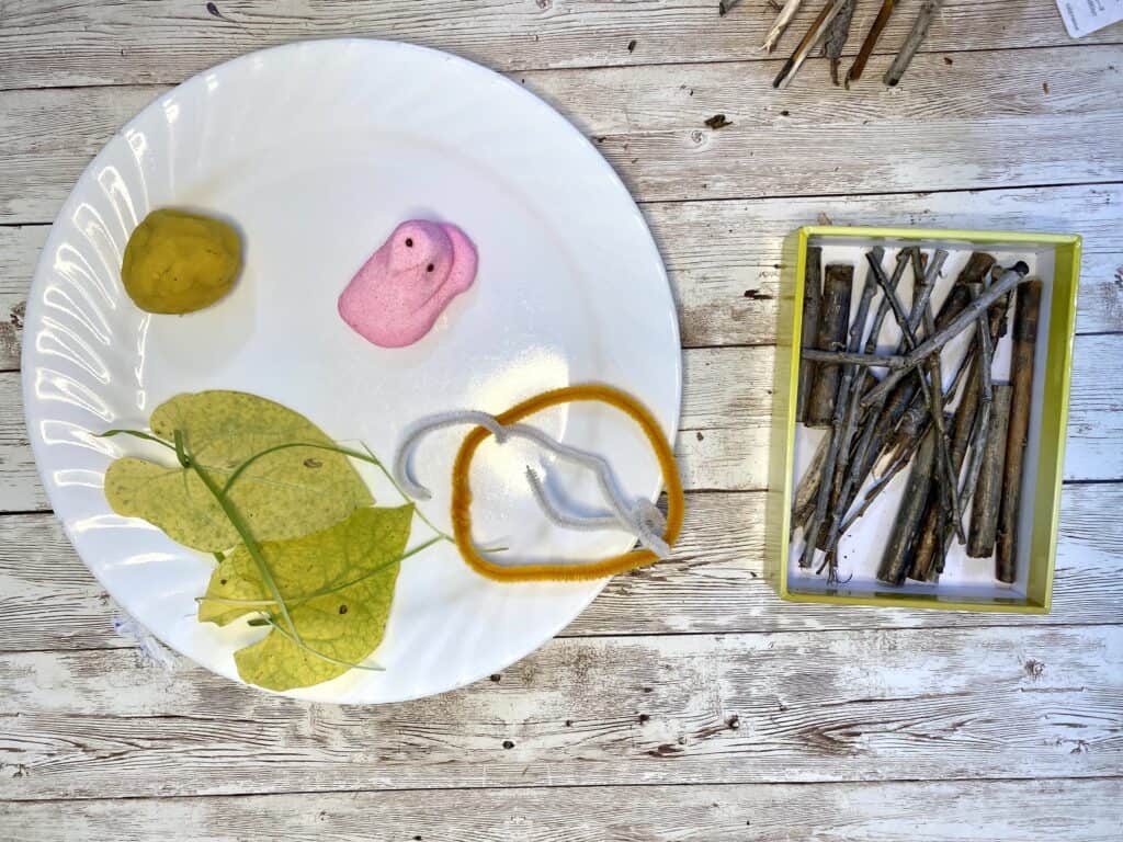 Fun Easter Peeps Nature Shelter Activity for Kids + Printable – The ...
