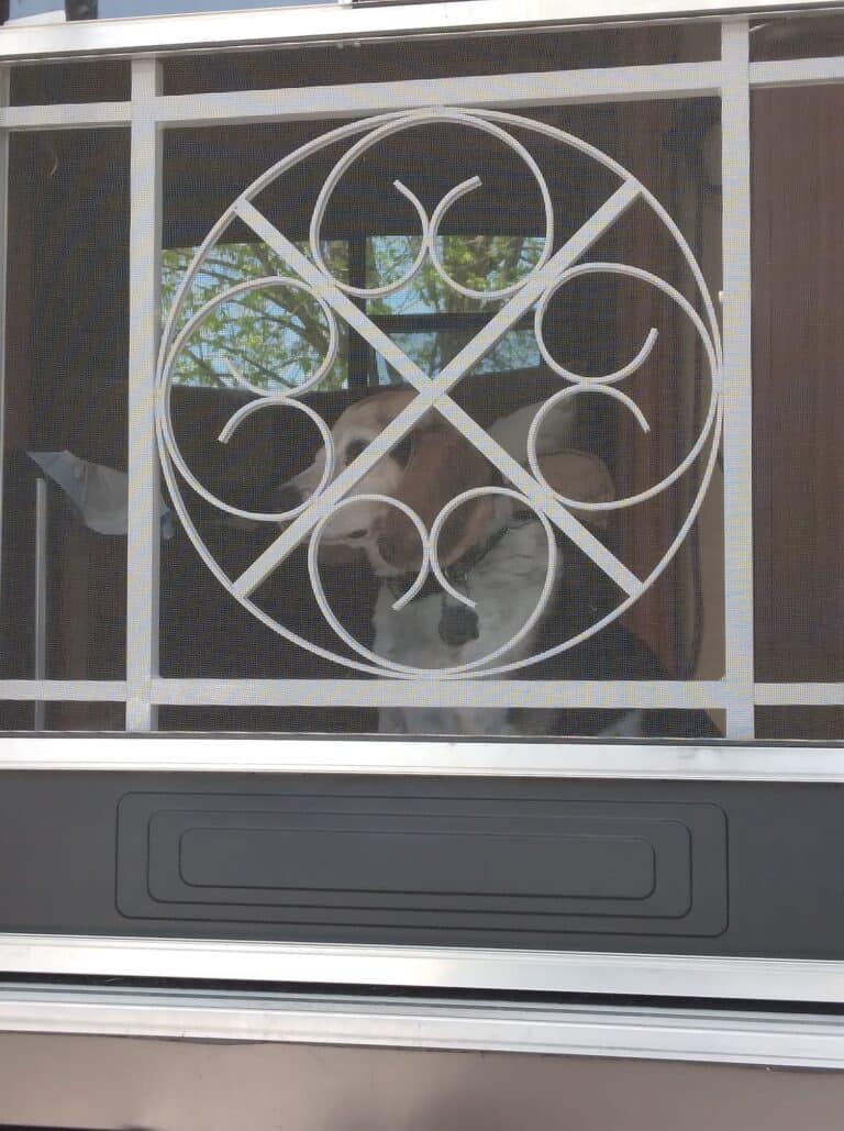 61+ Camping Hacks - GENIUS Visual Examples To Get You Inspired! – The ...