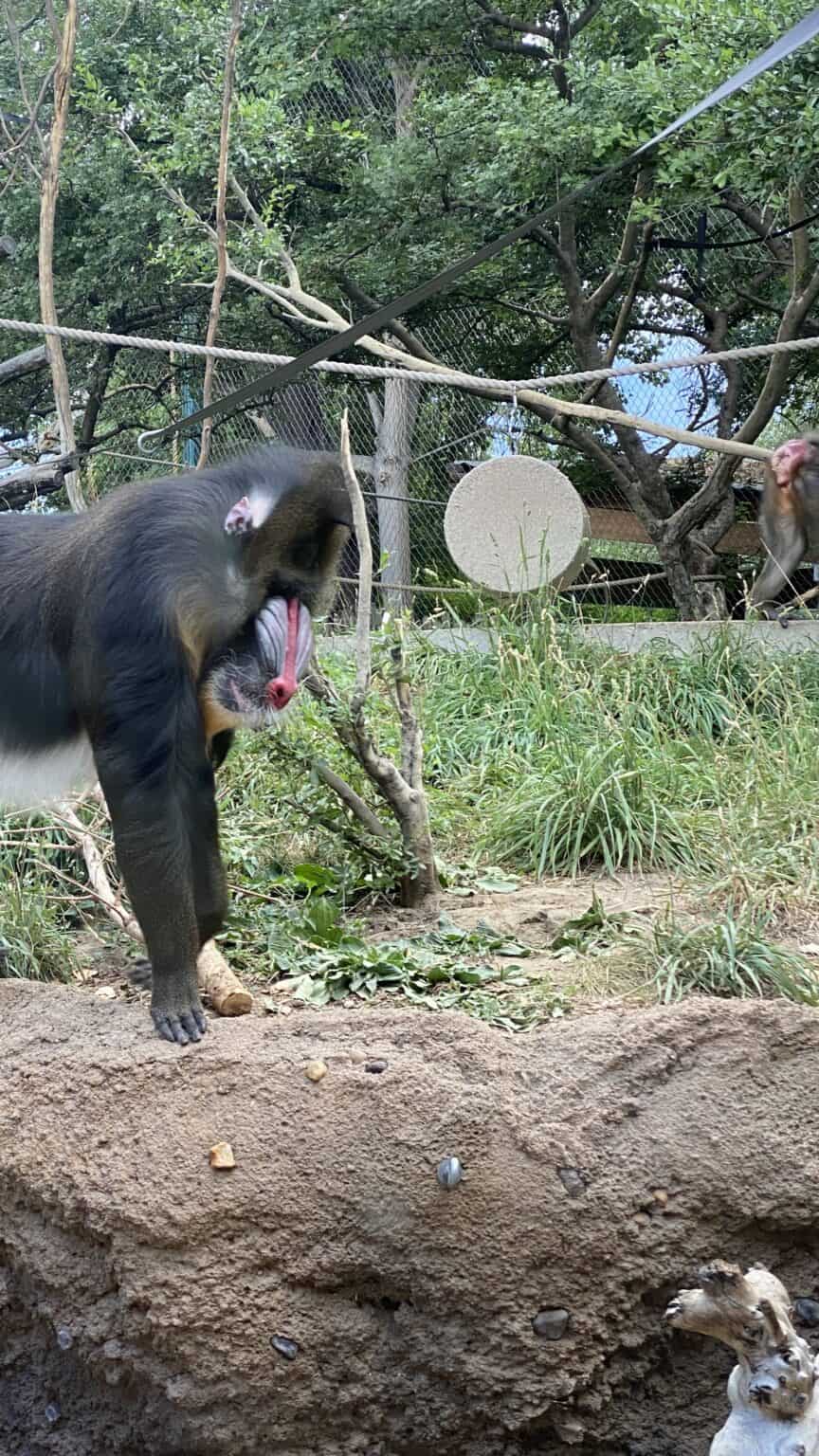 99 Outdoor Date Ideas That Are Actually Affordable! | 20+ Fun Outdoor ...