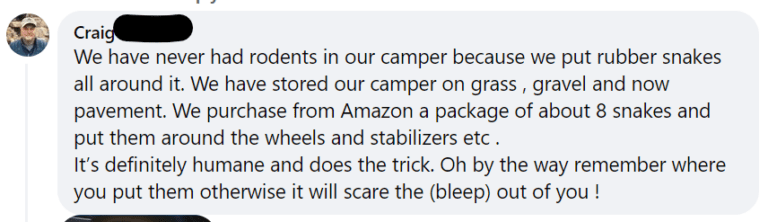 15 Tricks to Actually Keep Mice Out of Your RV (No Irish Spring Soap ...