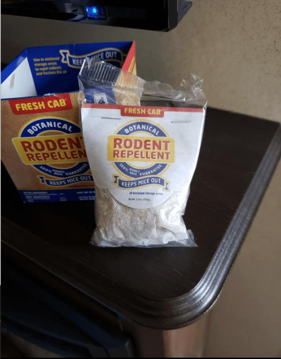 15 Tricks to Actually Keep Mice Out of Your RV (No Irish Spring Soap ...