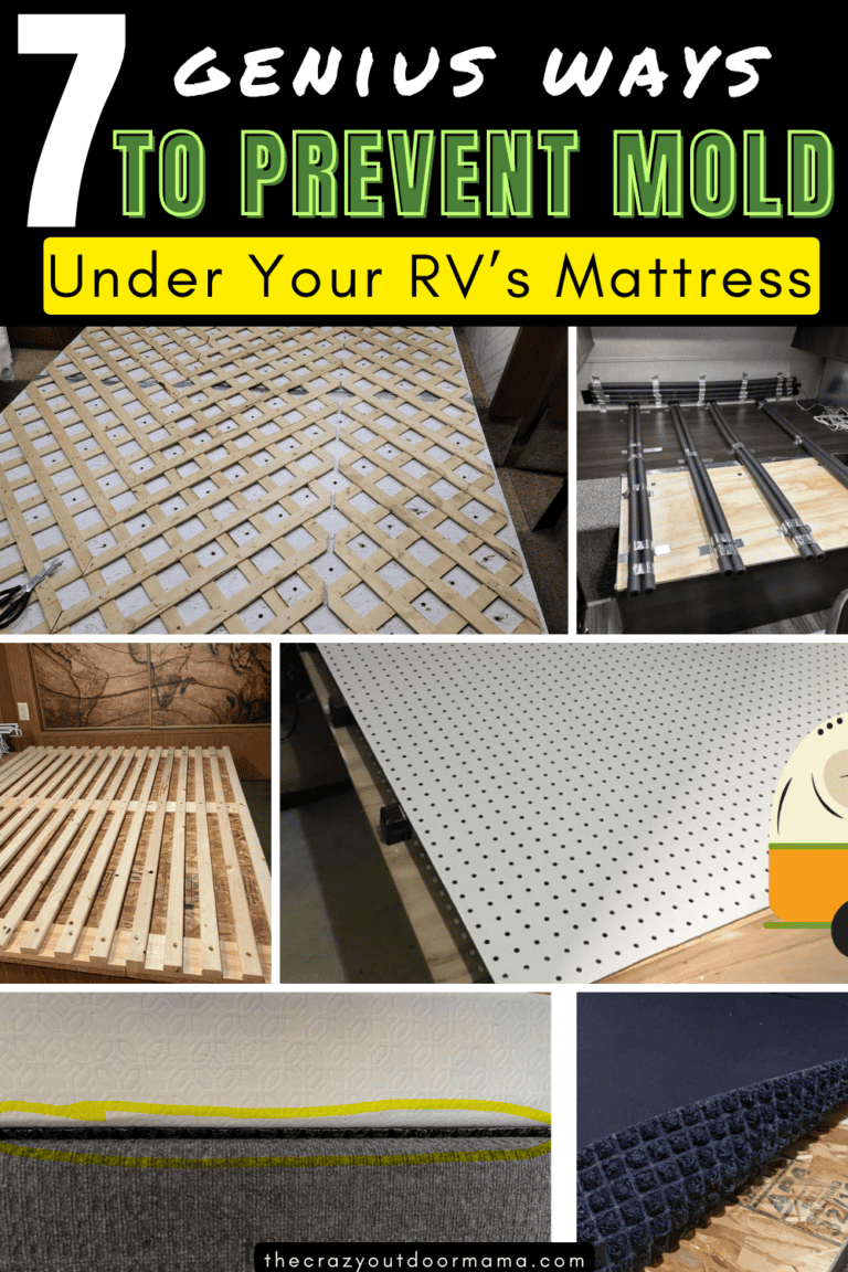 7 Tips To Prevent Mold Build-Up Under Your RV Mattress (+ DIY Ideas ...
