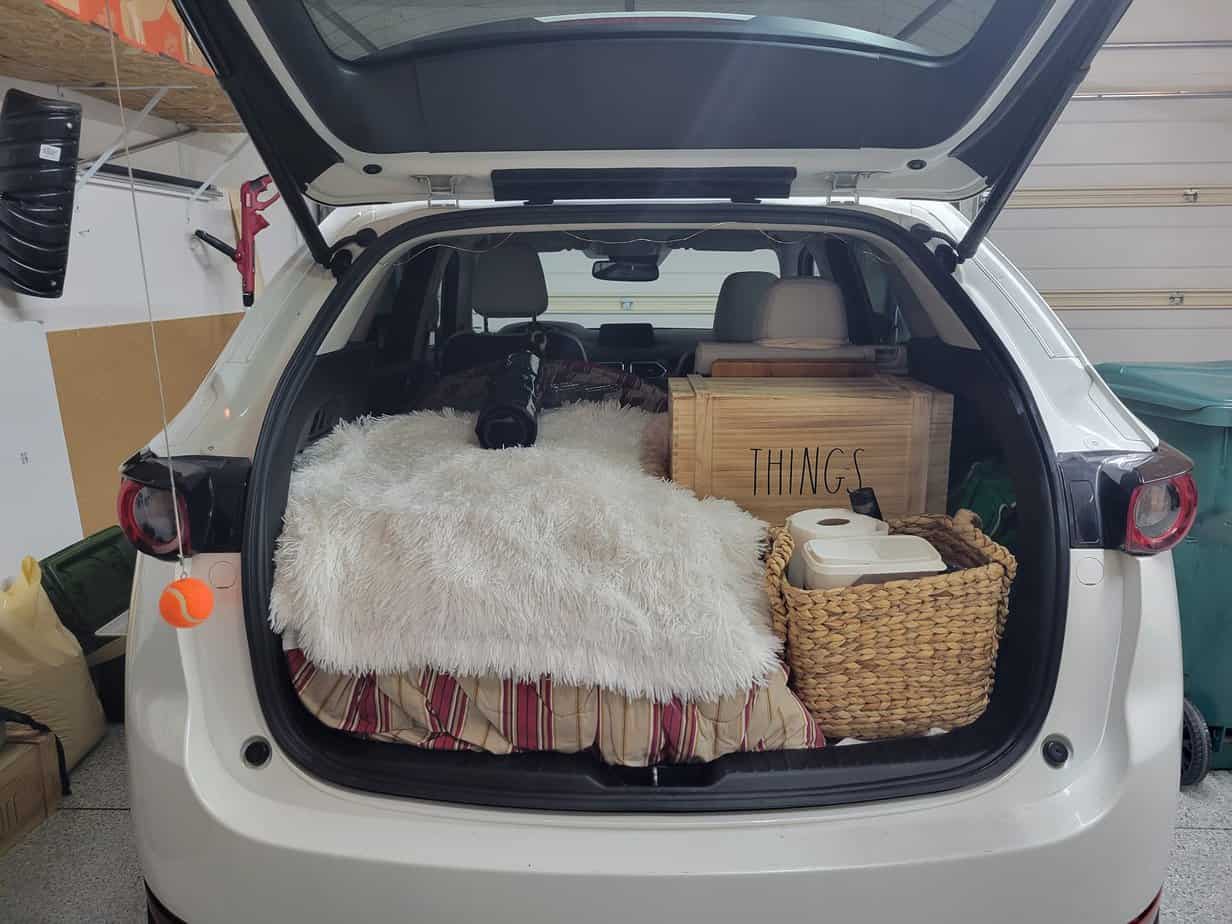 51 Car Camping Tips to Live Luxuriously [+Setup Idea Pic Inspo] – The ...