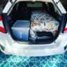 51 Car Camping Tips to Live Luxuriously [+Setup Idea Pic Inspo] – The ...