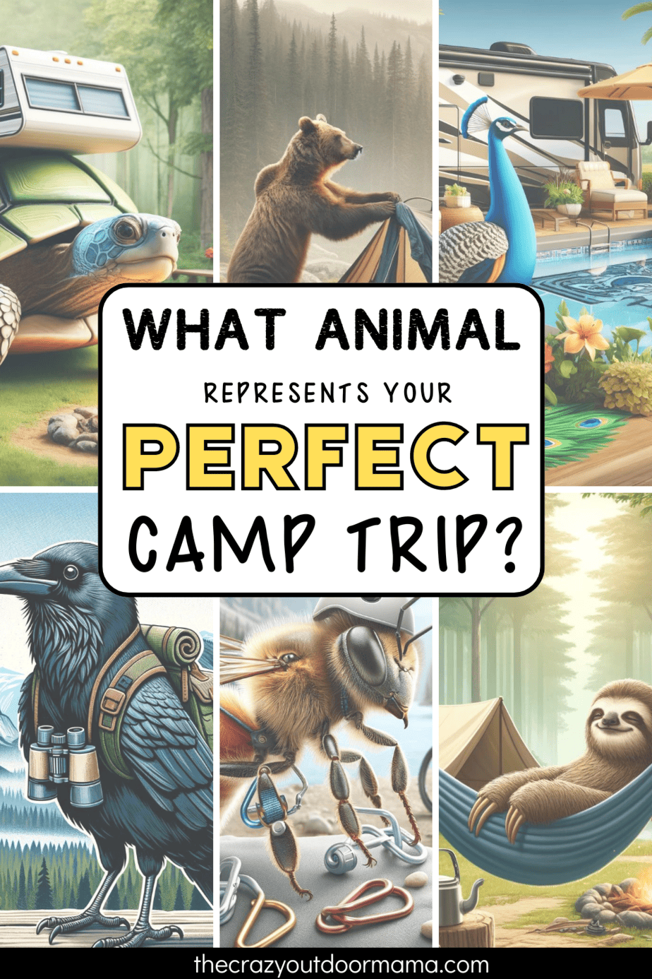 Find Your Camping Spirit Animal With This Fun Quiz! – The Crazy Outdoor ...