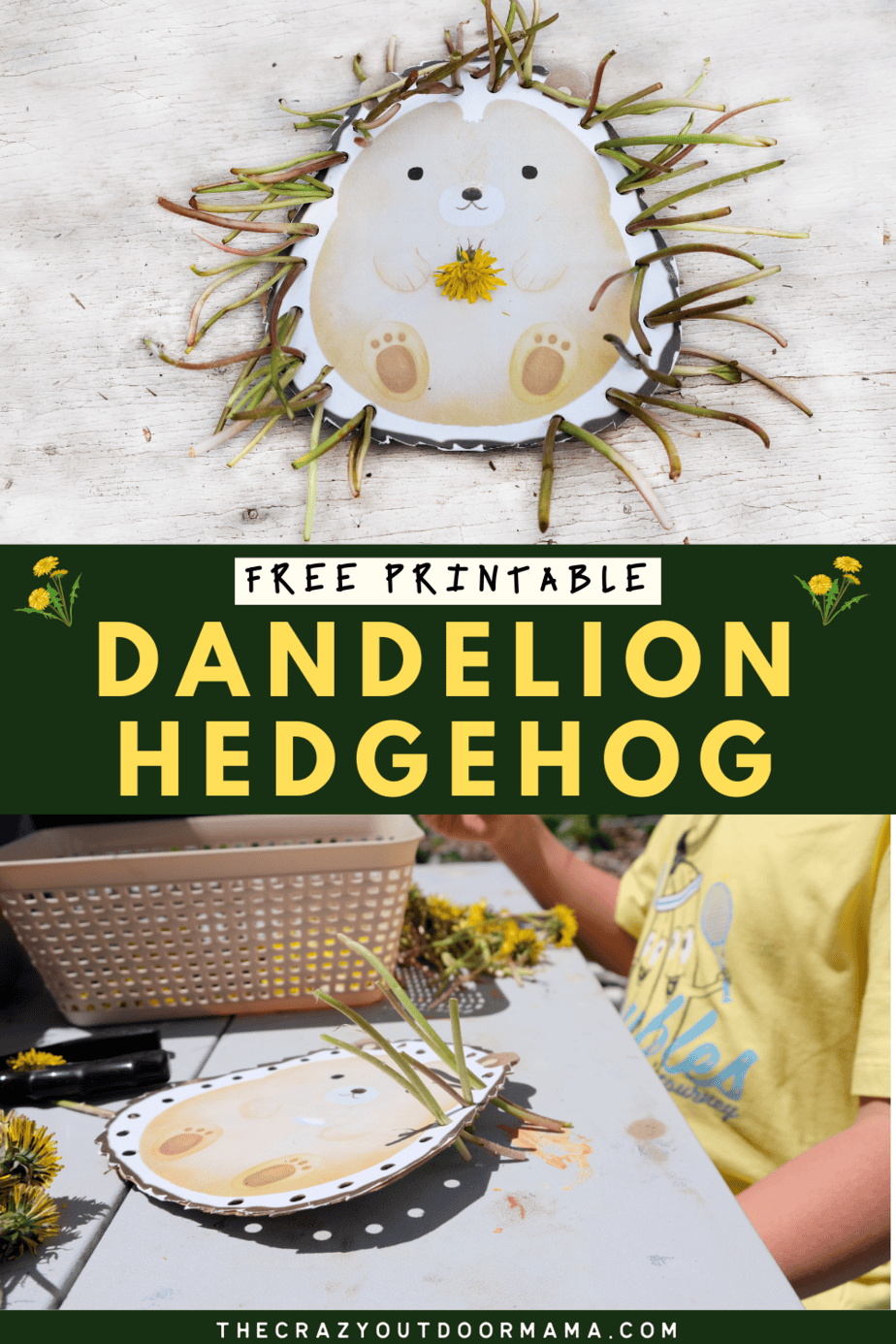 Adorable Dandelion Stems Hedgehog Craft for Kids – The Crazy Outdoor Mama