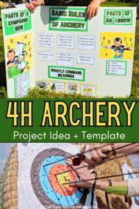 4H Archery Project Idea + Fun Archery Practice Ideas! – The Crazy ...